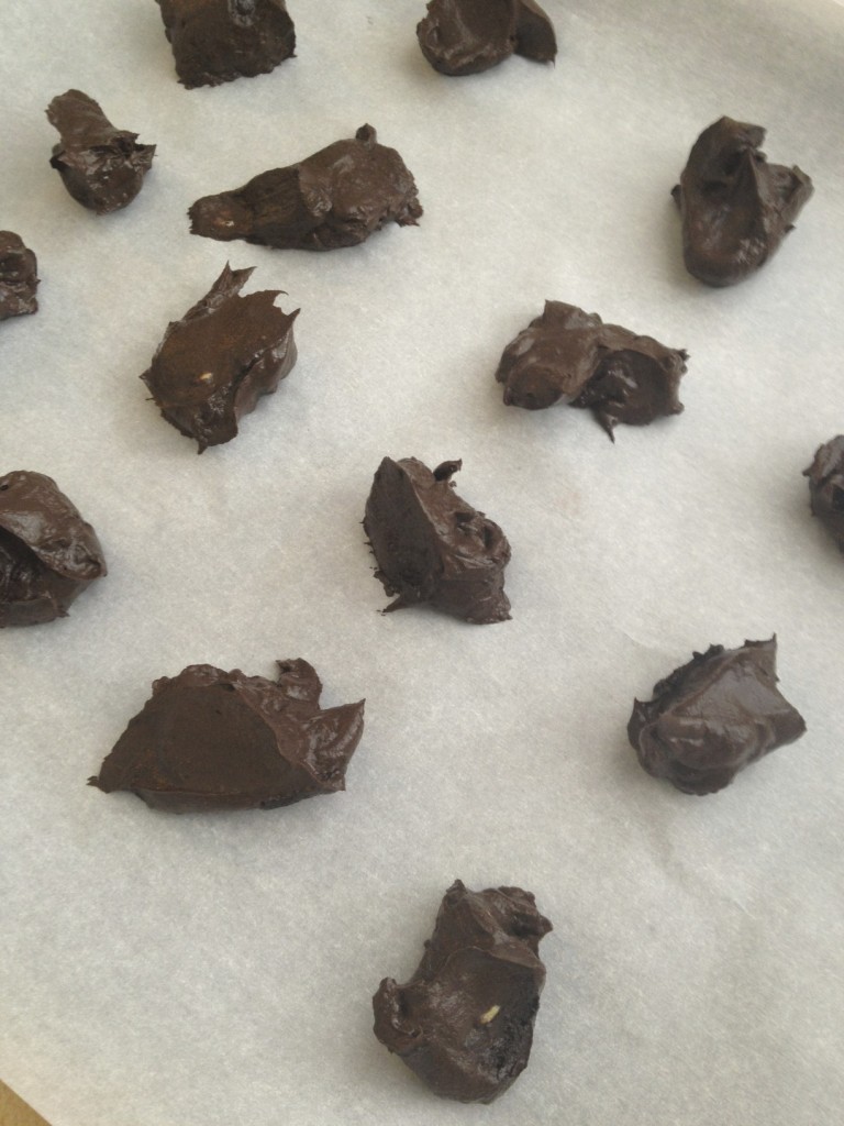 Dark Chocolate Avocado Ice Cream